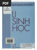 Advanced Everyday English | PDF