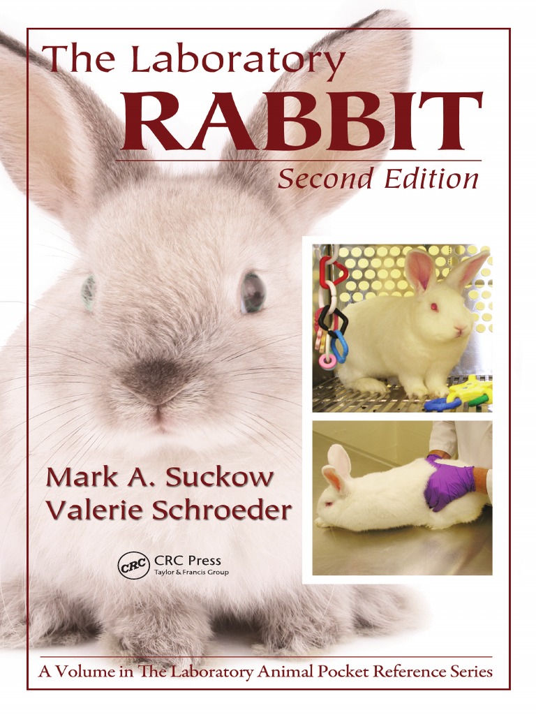 The Laboratory Rabbit | PDF | Rabbit | Anesthesia