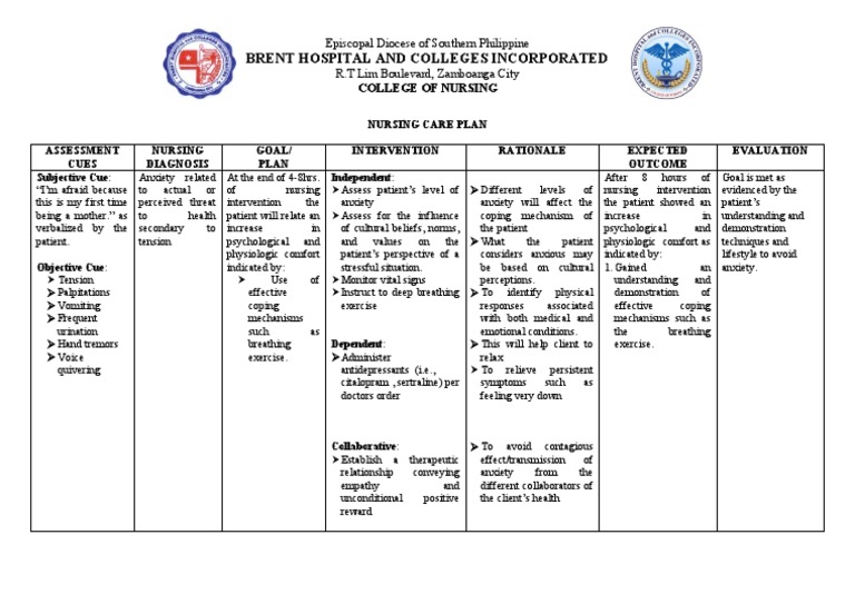 Nursing Care Plan - Anxiety | PDF | Anxiety | Nursing