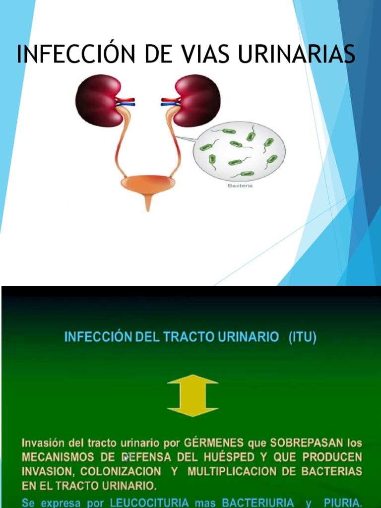 Infección Urinaria | PDF | Infección del tracto urinario | Vejiga urinaria
