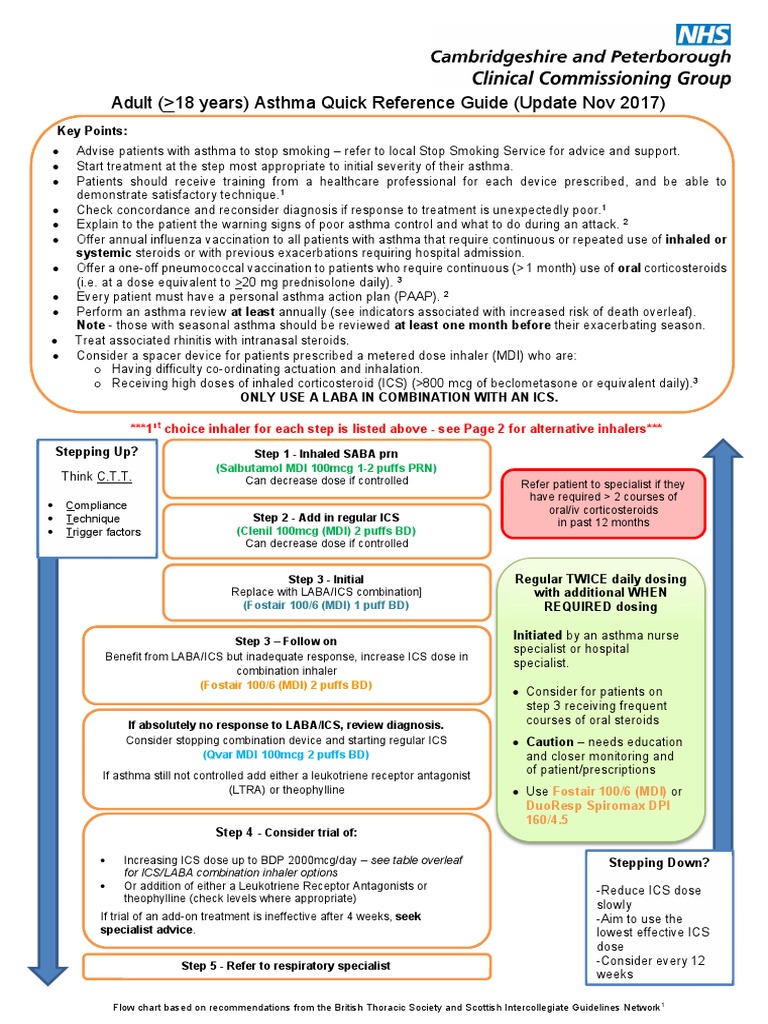 Adult ( 18 Years) Asthma Quick Reference Guide (Update Nov 2017) | PDF ...
