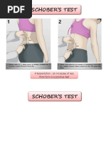 BASMI Scale | PDF | Anatomical Terms Of Motion | Knee