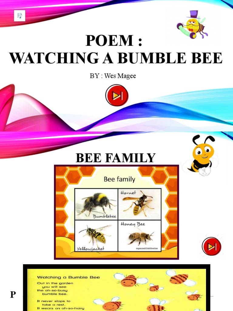 Poem: Watching A Bumble Bee: BY: Wes Magee | PDF