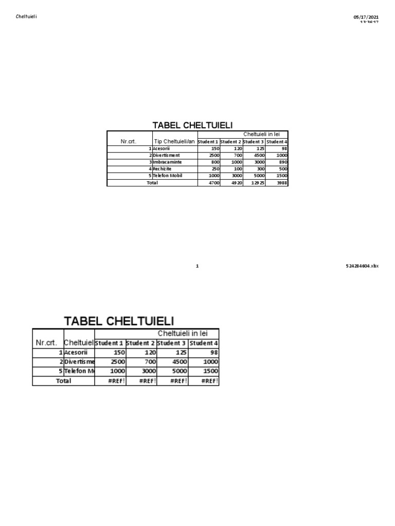 Tabel Cheltuieli | PDF