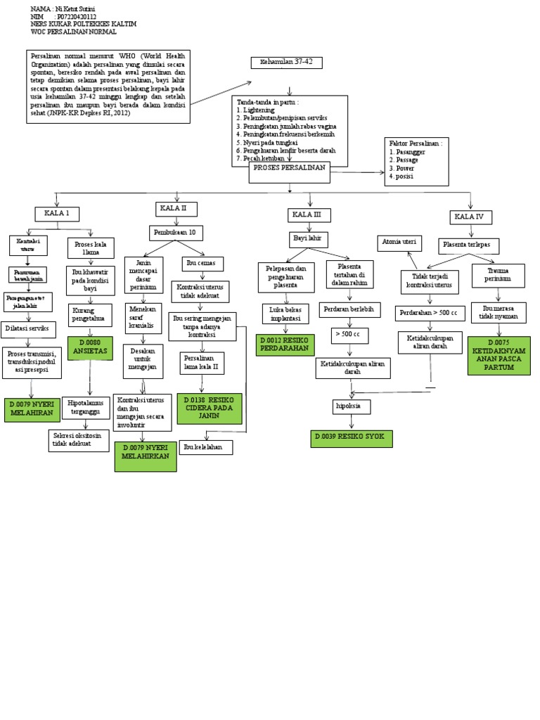 Woc Persalinan Normal | PDF