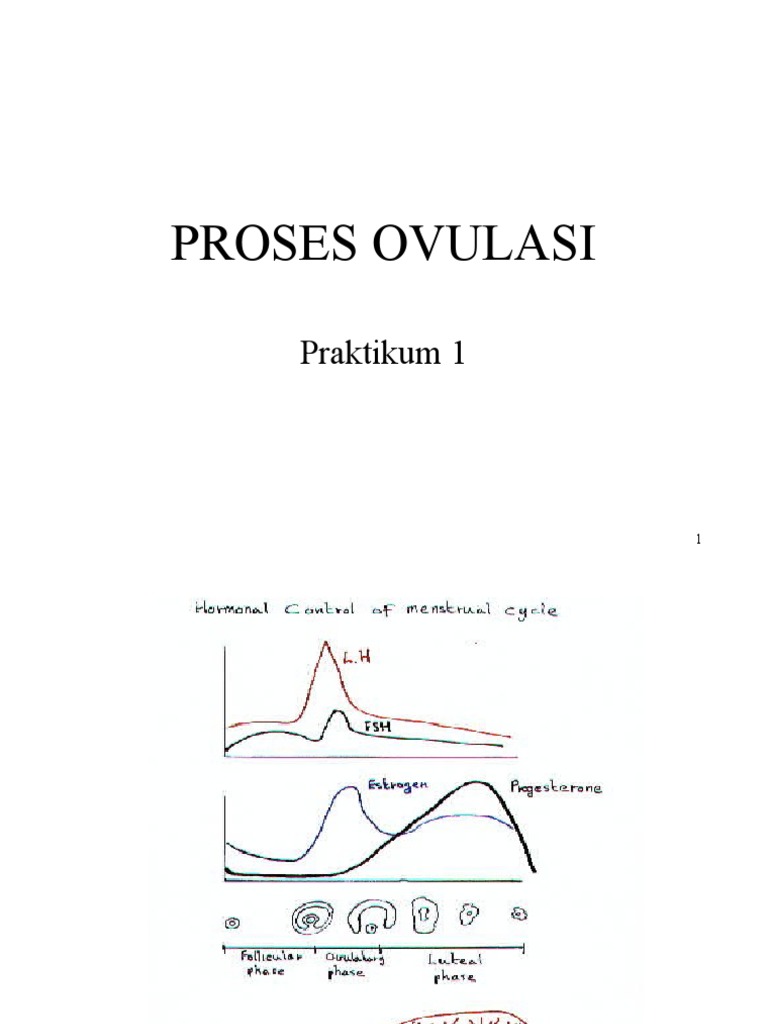 Praktikum 1. Proses Ovulasi | PDF