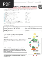 Brendan G Irvin - Amoeba Sisters Photosynthesis and Respiration Video ...