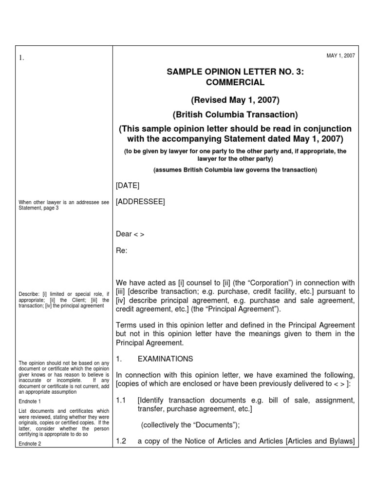 Sample Legal Opinion Letter Template | PDF | Equity (Law) | Costs In ...