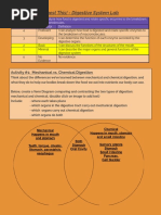 Gummy Bear Dissection Guide | PDF