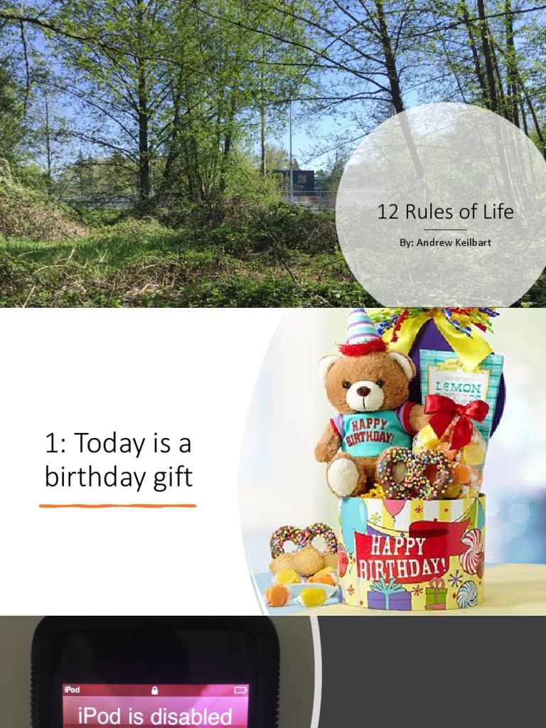 12 Rules of Life | PDF