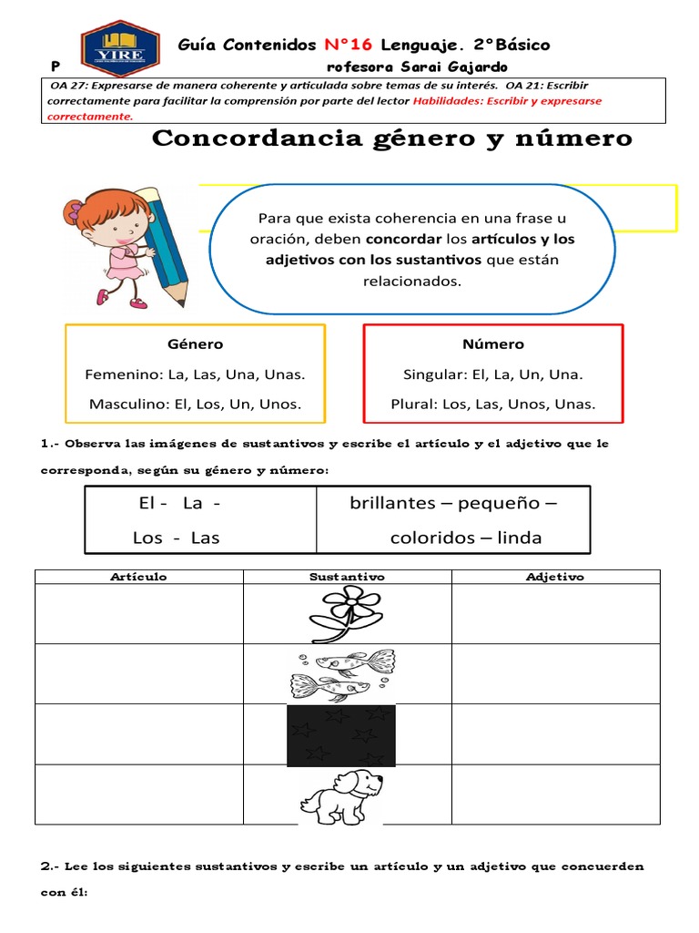 Concordancia de género y número en adjetivos | PDF | Adjetivo | Sustantivo