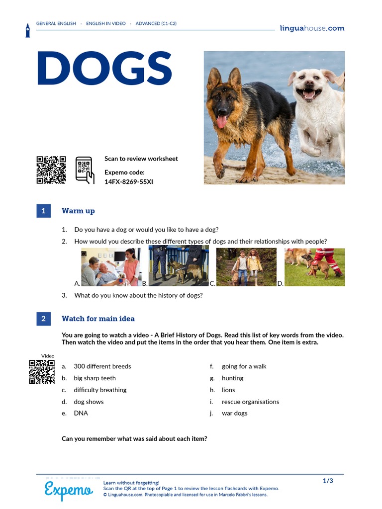 Dogs British English Teacher Ver2 | PDF | Dogs | Verb