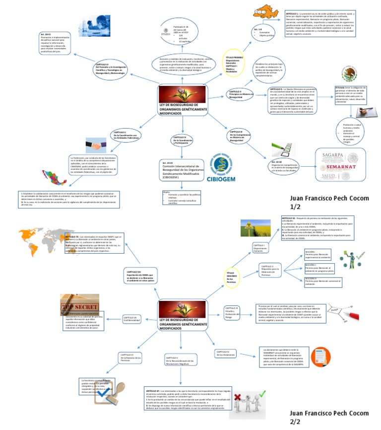 Mapa Mental Biotecnología | PDF | Organismo genéticamente modificado | Biotecnología
