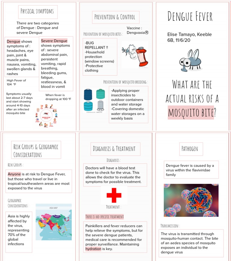 Elise Tamayo - Infectious Disease Pamphlet | PDF | Microbiology ...