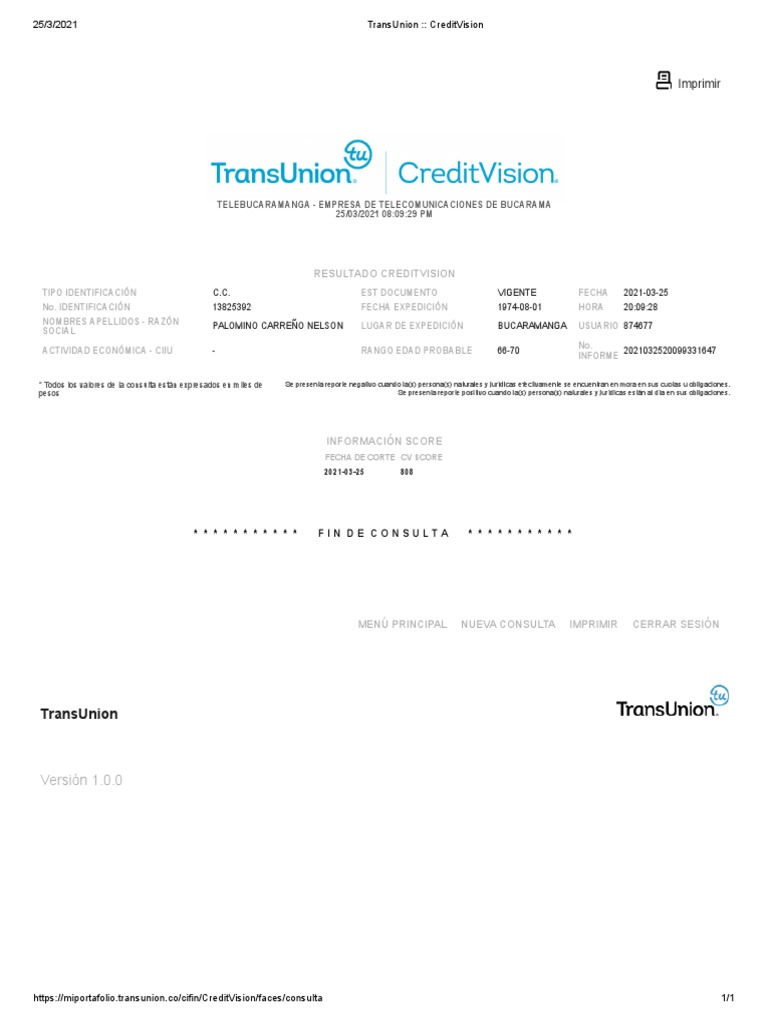 Creditvision NELSON PALOMINO | PDF | Business