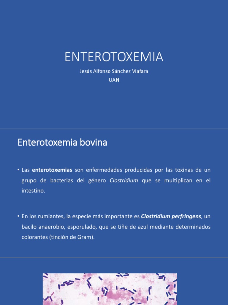 ENTEROTOXEMIA | PDF | Diarrea | Microbiología