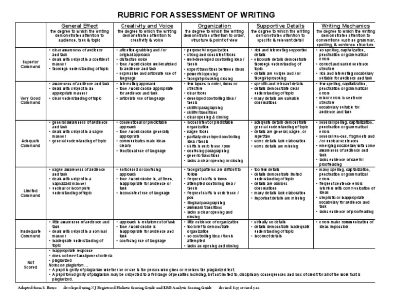 Writing Rubric | PDF | Plagiarism | Attention