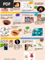 Adsef Pan 164 | PDF | Medicina CLINICA | Enfermedades y trastornos