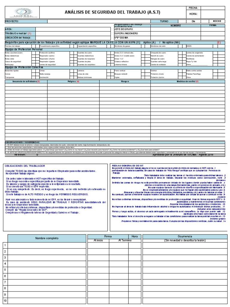 Formato de AST (IMPRIMIR) | PDF | Ropa | Naturaleza