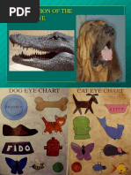 GMAP Poster | PDF | Health Care | Therapy