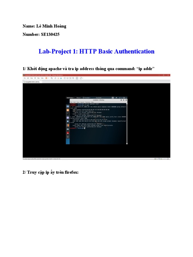 HOD401 Lab01 HoangLMSE130425 | PDF