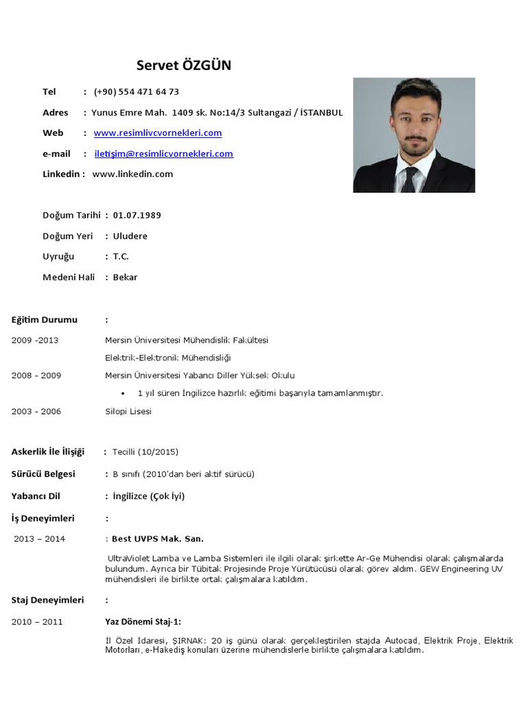 Elektrik Elektronik CV Ornegi | PDF
