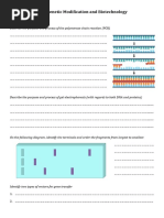 Fall Nature Walk Worksheet | PDF | Organisms | Nature