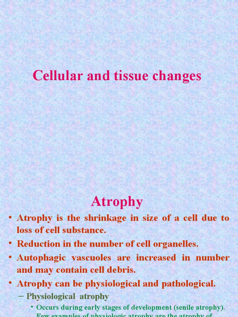 Cellulalar and Tissue Changes | PDF | Atrophy | Epithelium