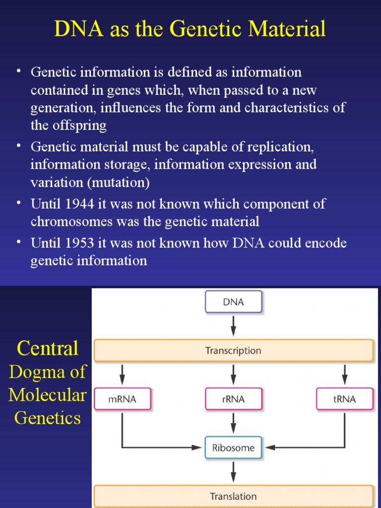 Dna Genetic Material | PDF | Nucleotides | Dna