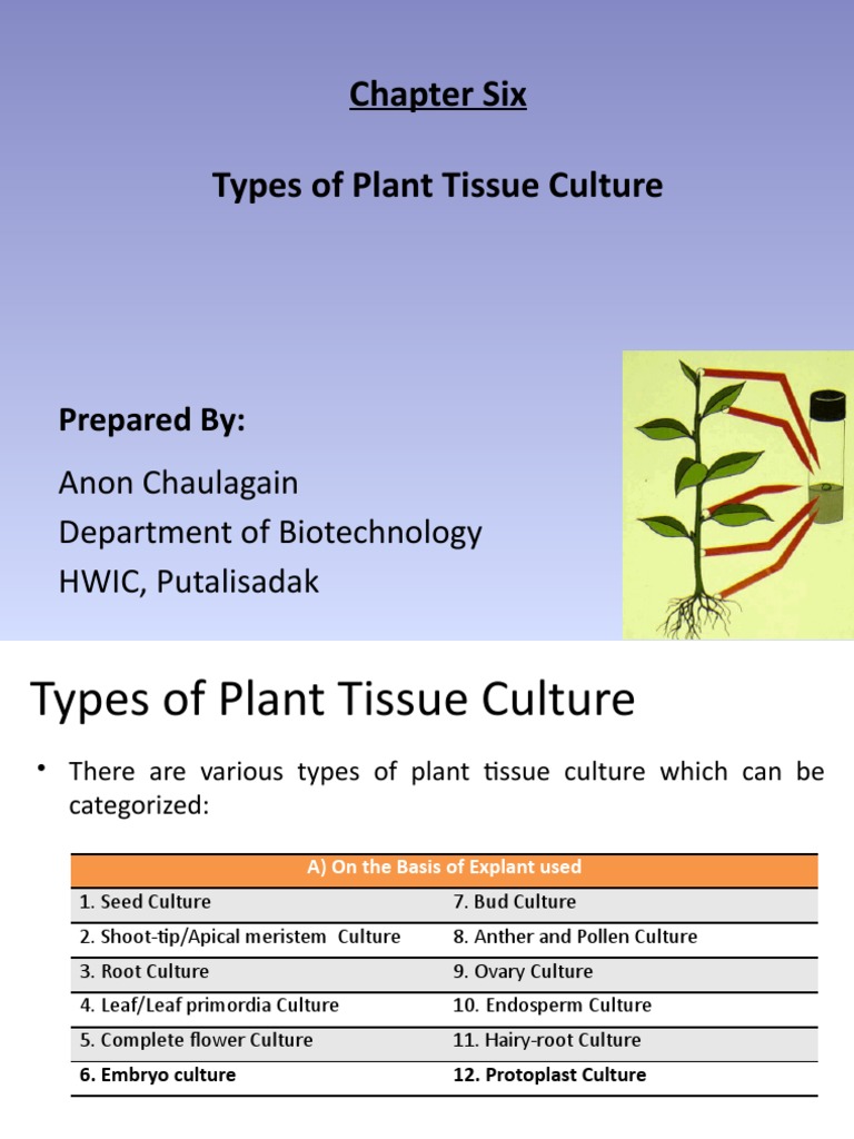 Chapter 6 Types of Tissue Culture | PDF | Seed | Embryo