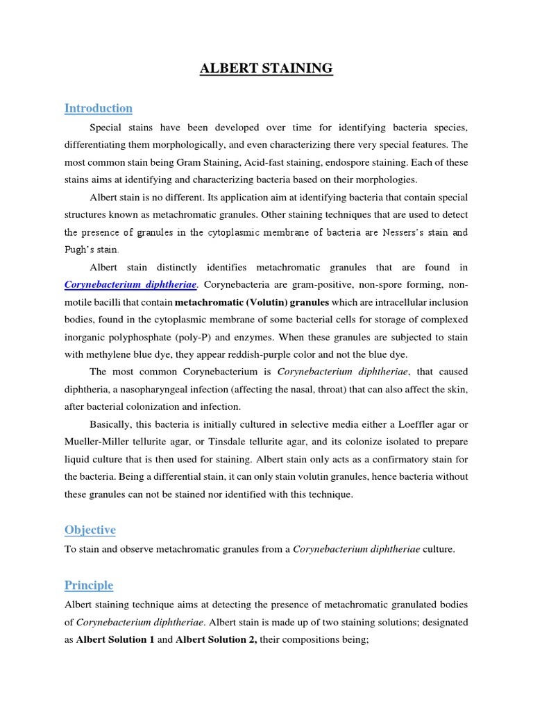 Albert Staining (Pewarnaan Granula) | PDF | Staining | Bacteria