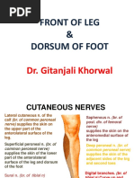 Leg Anatomy for Medical Students | PDF | Wellness | Science & Mathematics