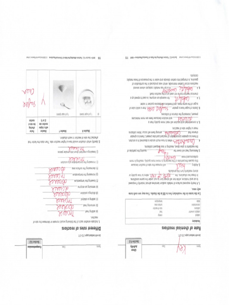 Rate of Chemical Reactions Worksheet Key | PDF | Reaction Rate | Catalysis