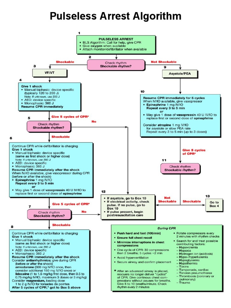 Algoritme - Henti Jantung | PDF