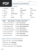 Blood Type Review Worksheet | PDF | Blood Type | Body Fluids