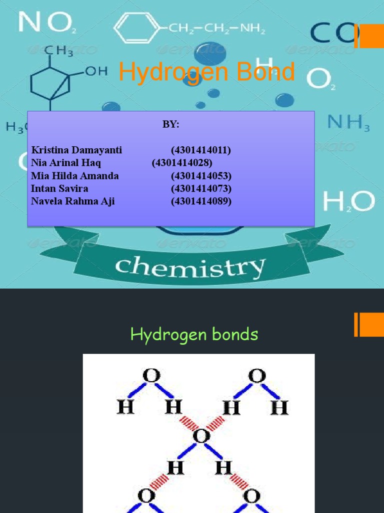 Hydrogen Bond | PDF | Hydrogen Bond | Nucleotides