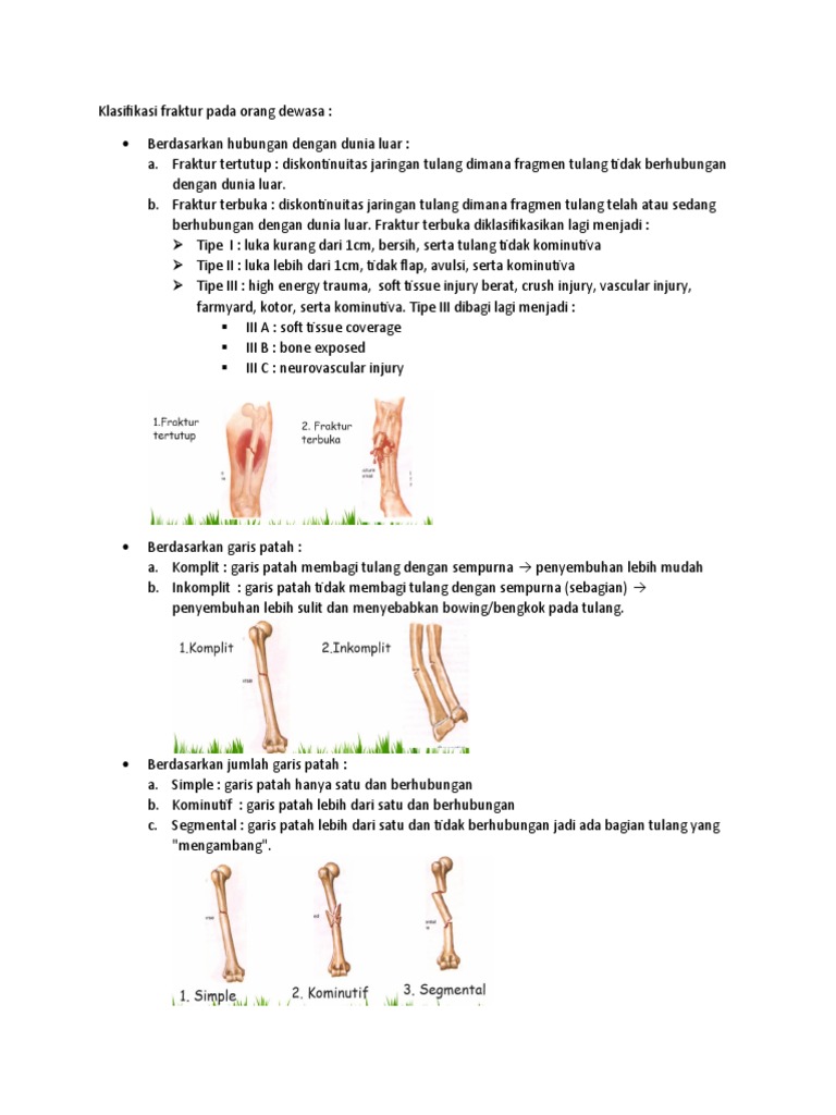 Klasifikasi, Diagnosis Dan Terapi Fraktur Distal Radius – Estrich Mobil