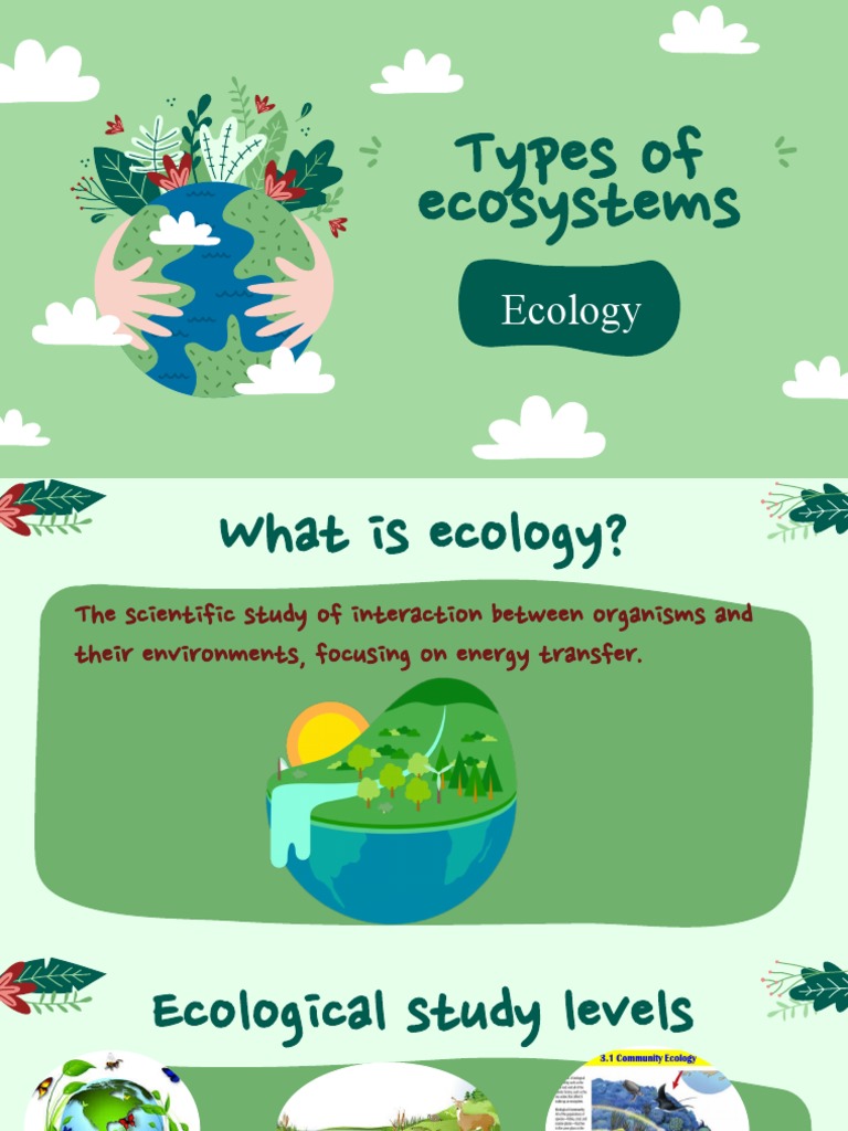 Types of Ecosystems | PDF | Aquatic Ecosystem | Forests