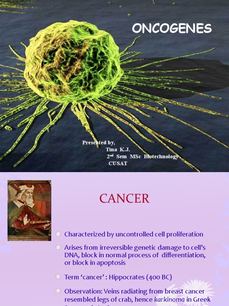 Oncogenes | PDF | Tumor Suppressor Gene | Cell Cycle