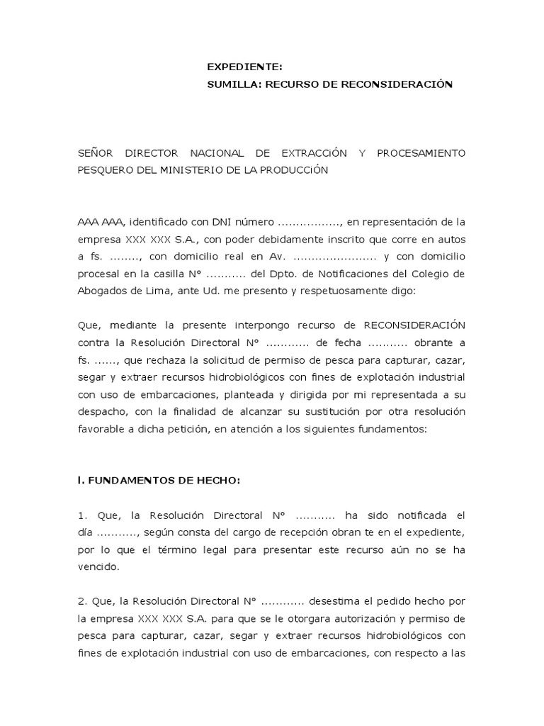 Escrito de Reconsideracion | PDF | Derecho