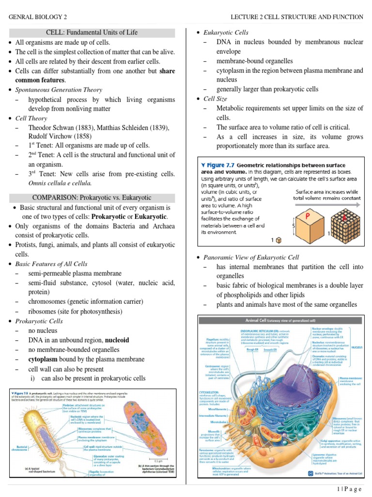 Common Features.: Omnis Cellula e Cellula | Download Free PDF ...