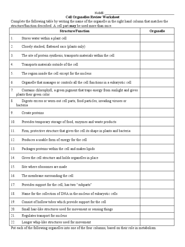 Cell Organelle Review Worksheet 14-15 | PDF | Organelle | Cell (Biology)