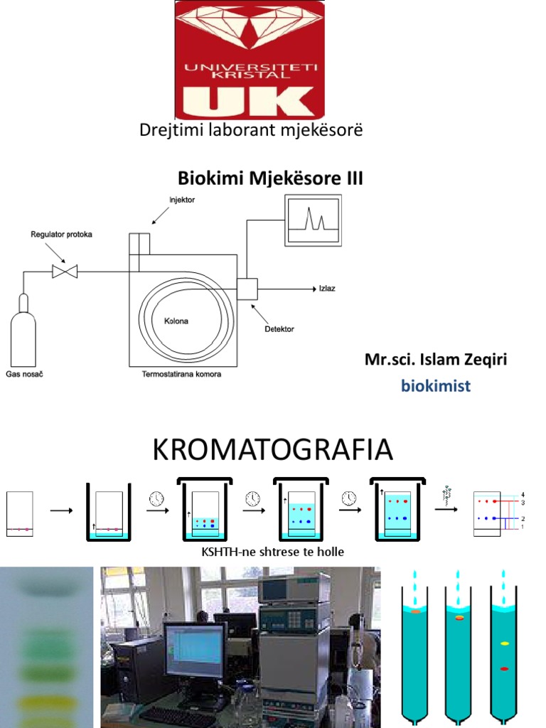 Kromatografia | PDF