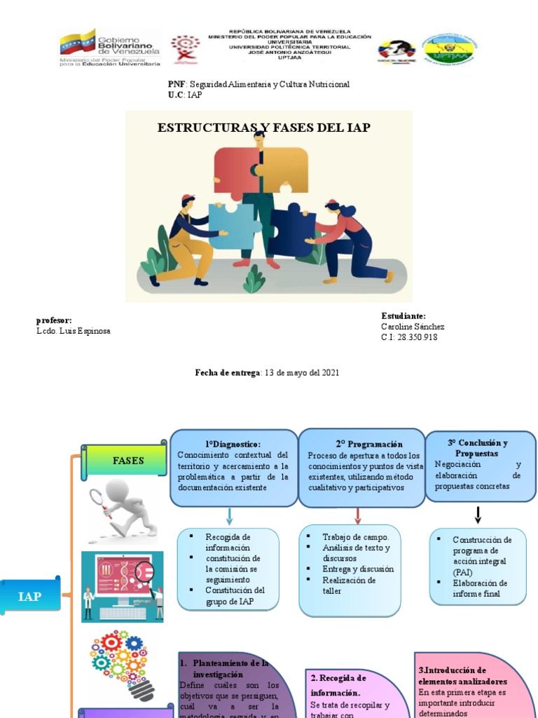 Mapa Conceptual de IAP | PDF | Science | Business
