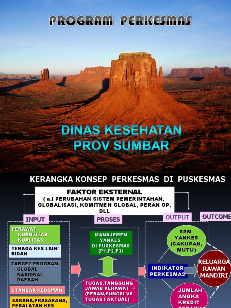 Program Perkesmas Di Puskesmas | PDF