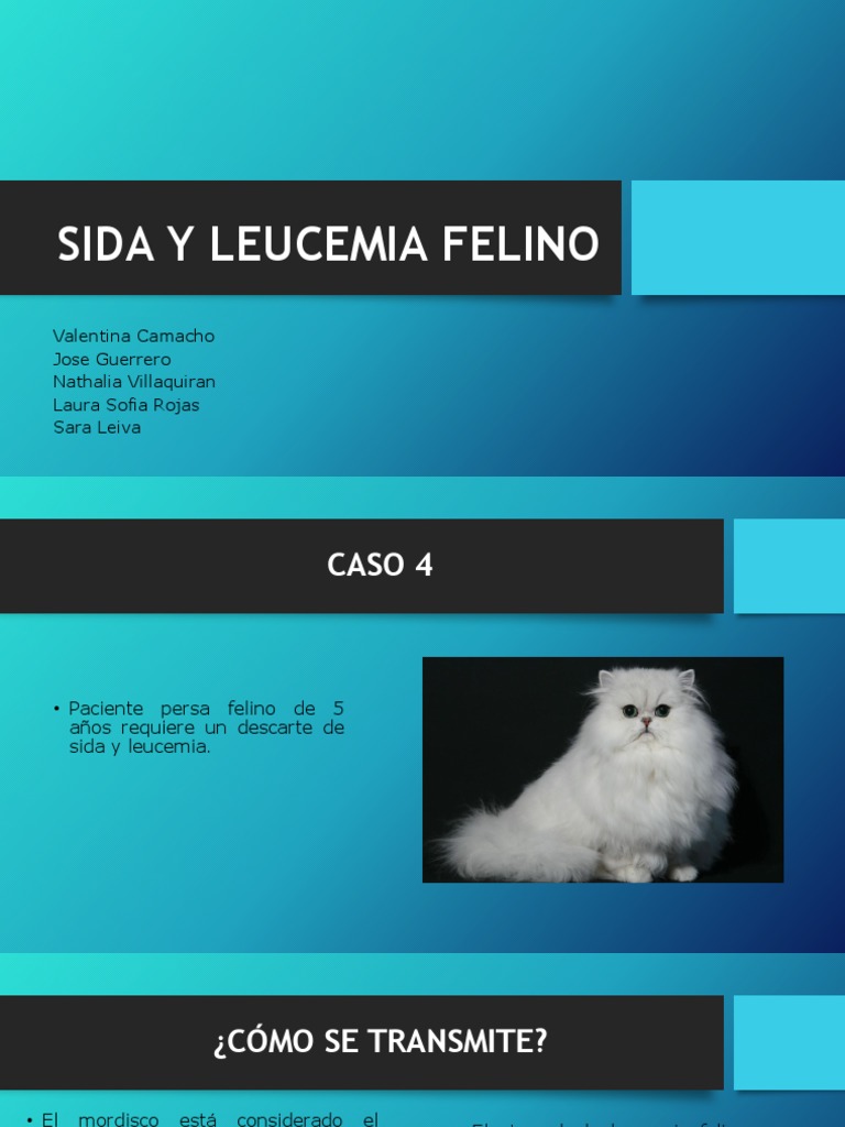 Sida Felino | PDF | VIH / SIDA | Medicina Veterinaria