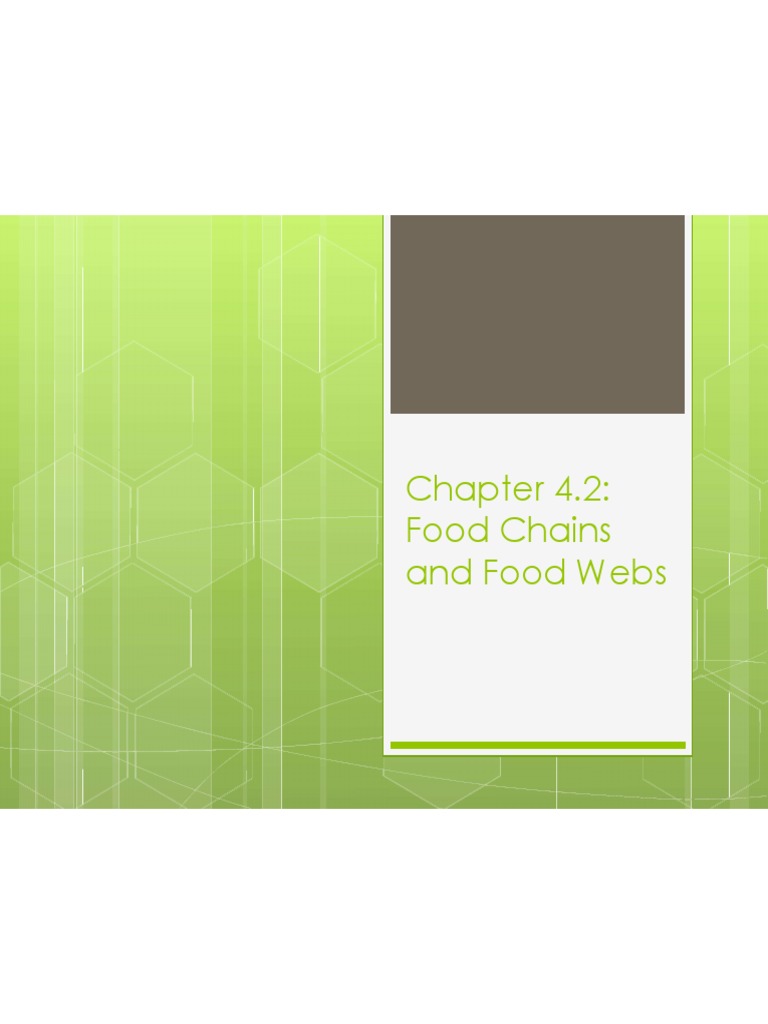 Food Chains and Food Webs - Part 1 | PDF | Food Web | Herbivore