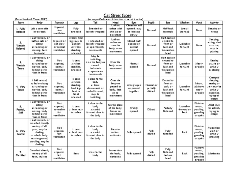 Cat Stress Score | PDF | Cats | Zoology