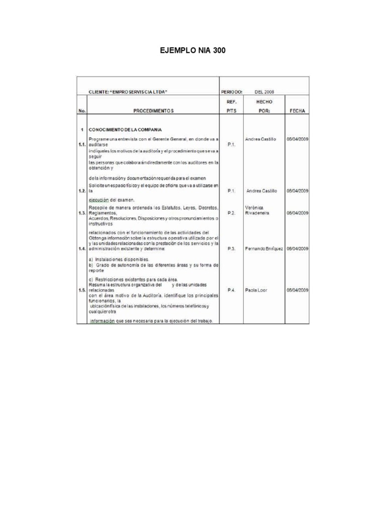 Ejemplo Nia 300 | PDF