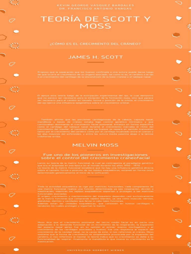 Kevin George Vasquez Bardales Infografia Teoria de Moss | PDF | Cráneo ...